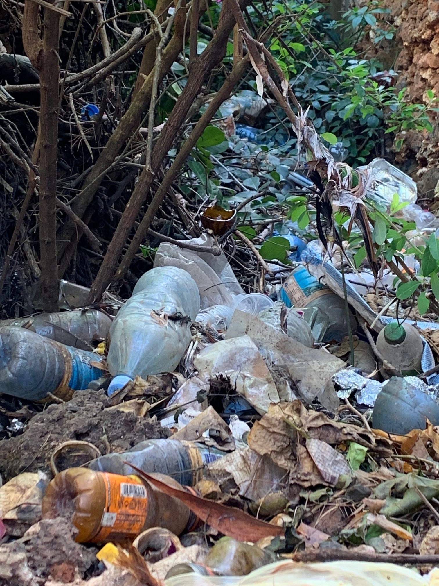 Zanzibar's Battle Against Plastic Pollution: Unveiling the Struggle and ...