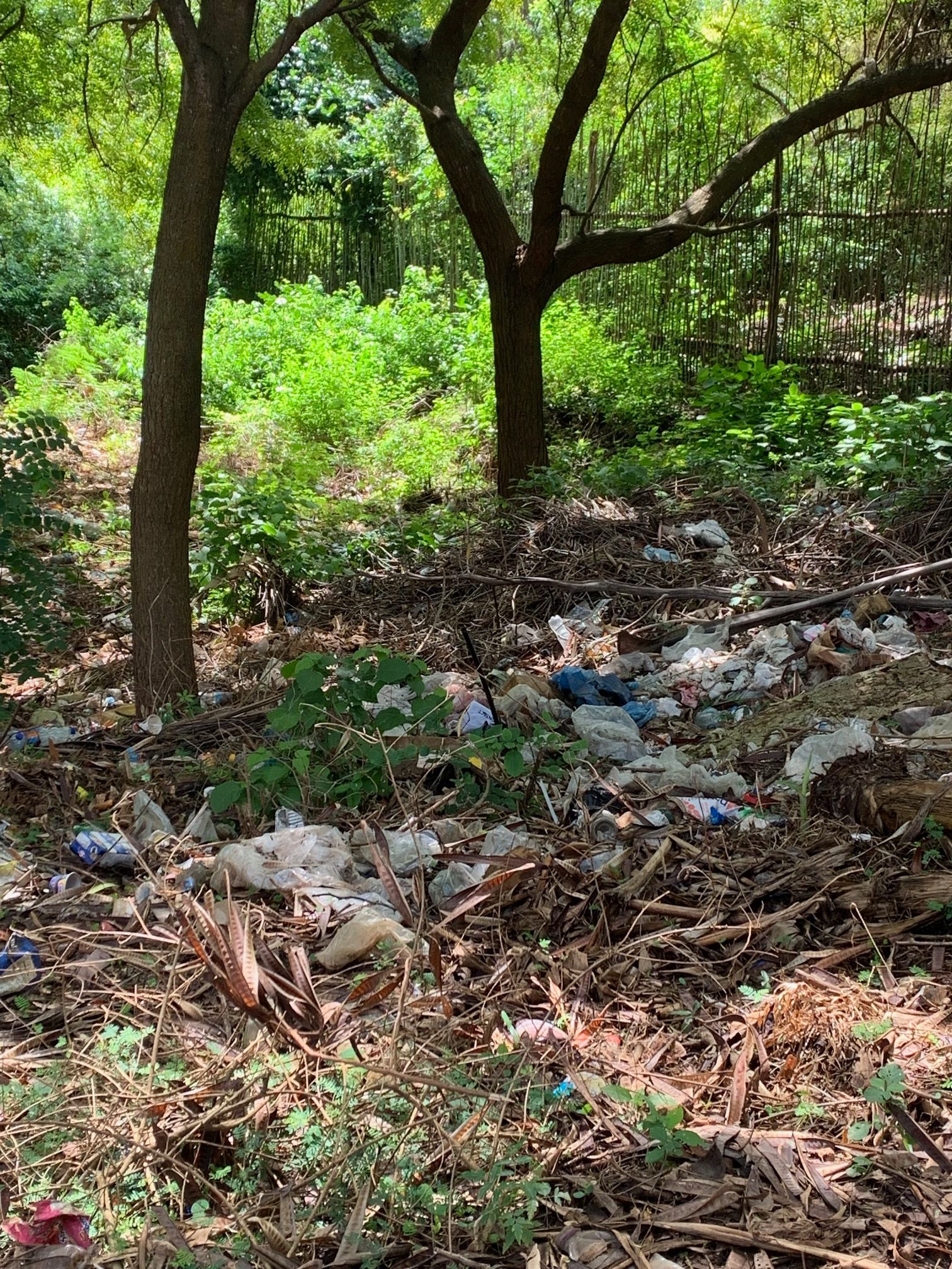 Zanzibar's Battle Against Plastic Pollution: Unveiling the Struggle and ...